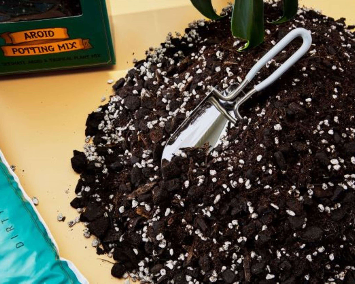 The Ultimate Aroid Soil Guide – The Plant Runner