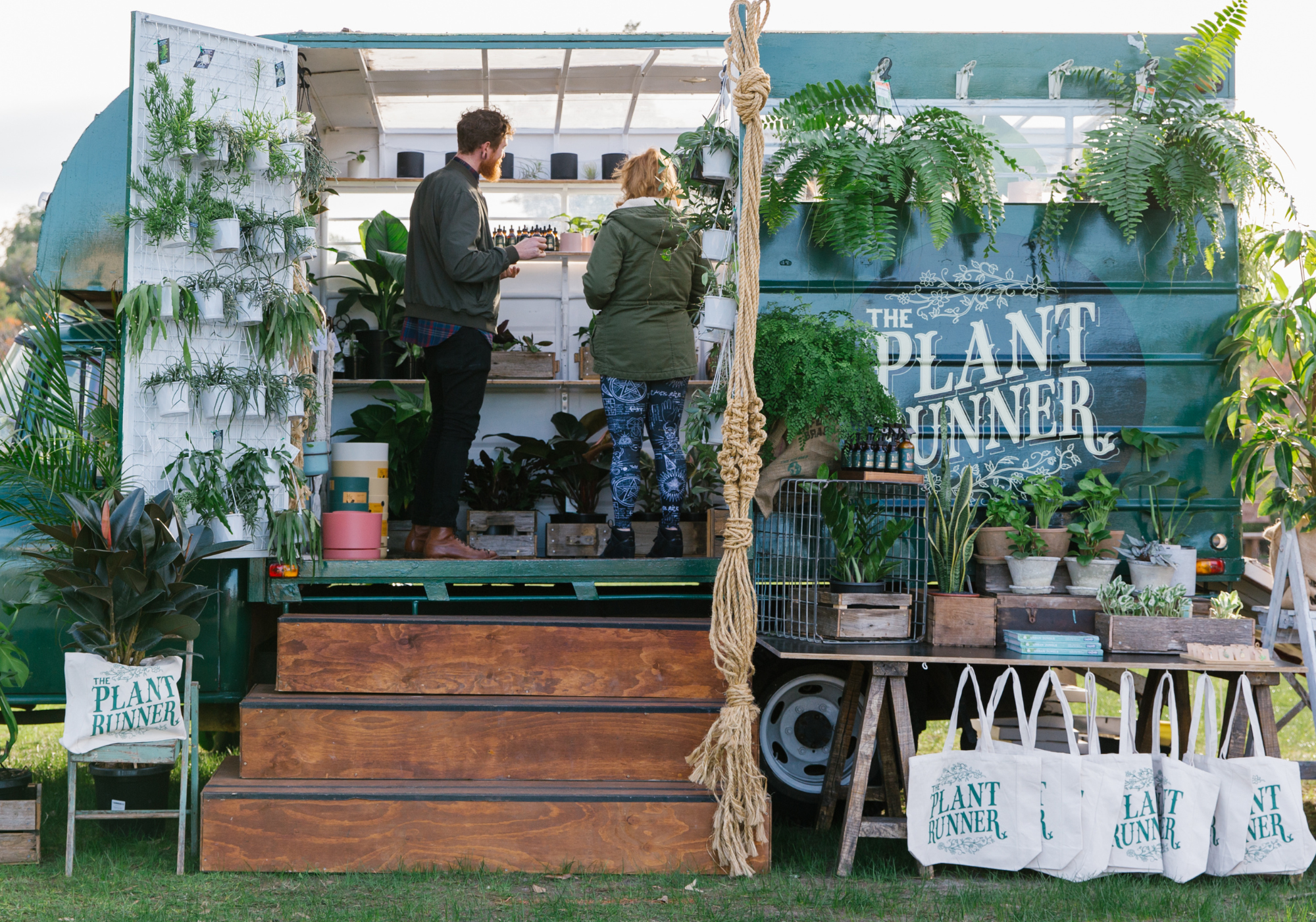 The Plant Runner Story