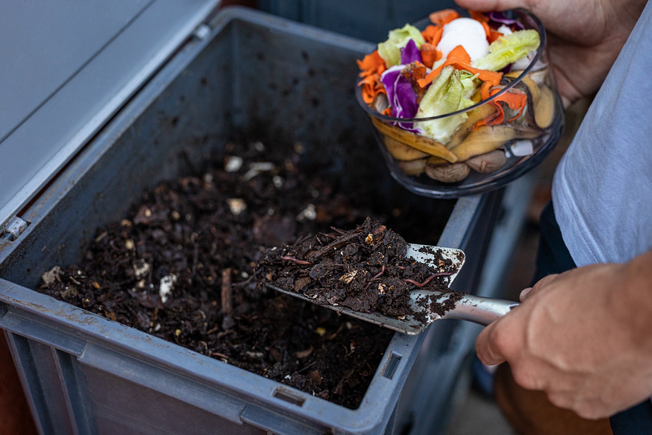 Composting 101: A Guide for Apartments and Gardens – The Plant Runner