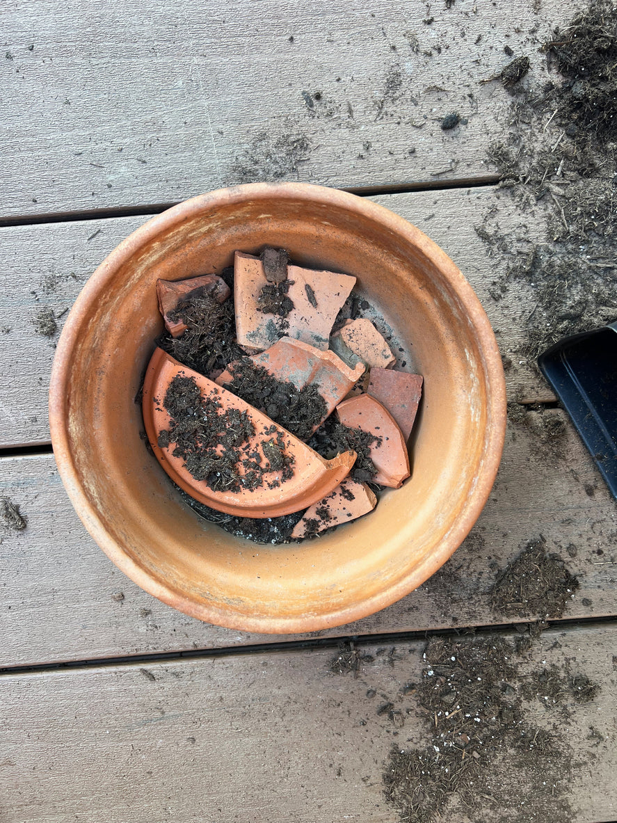 Does a Drainage Layer in Pots Really Help? – The Plant Runner