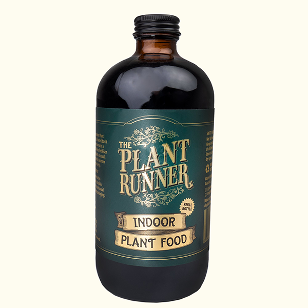 The Plant Runner - Online Store for the latest Indoor Plant Trends