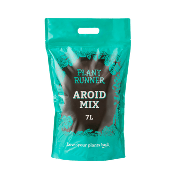 What Makes an Aroid an Aroid? A Friendly Guide | The Plant Runner