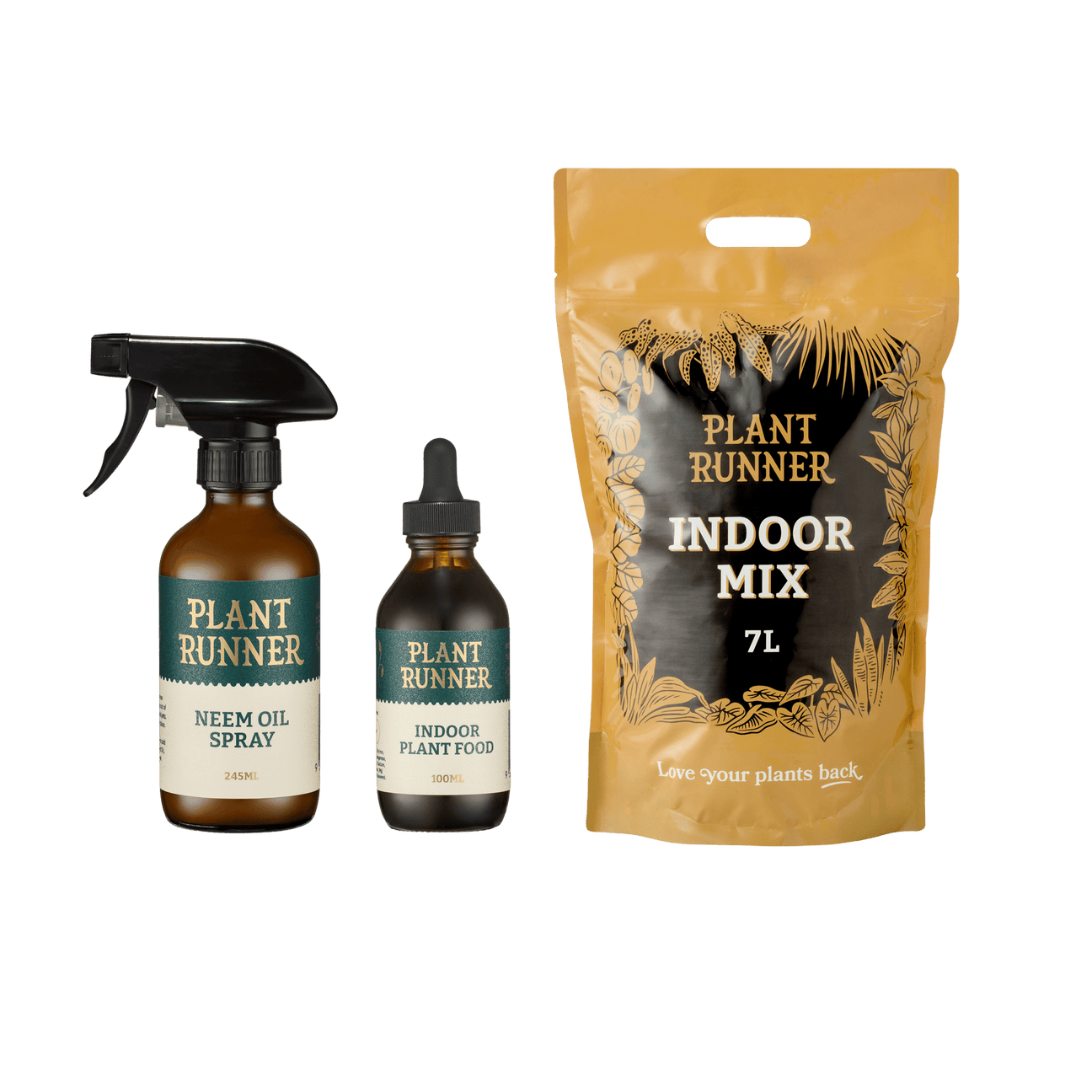 Beginner's Bundle - Indoor Plant Starter Kit – The Plant Runner