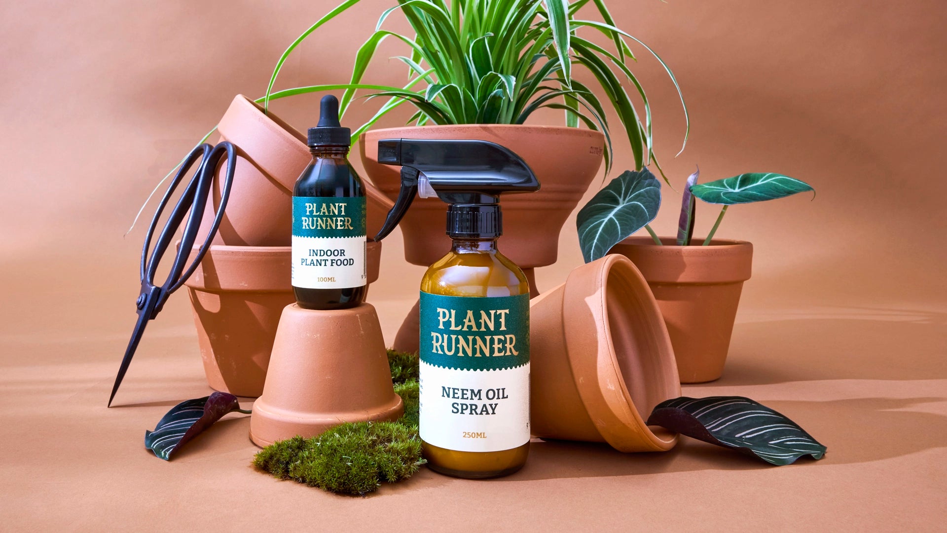 The Plant Runner - Online Store for the latest Indoor Plant Trends