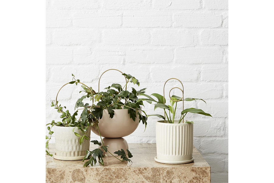 Indoor Plant Food - The Plant Runner