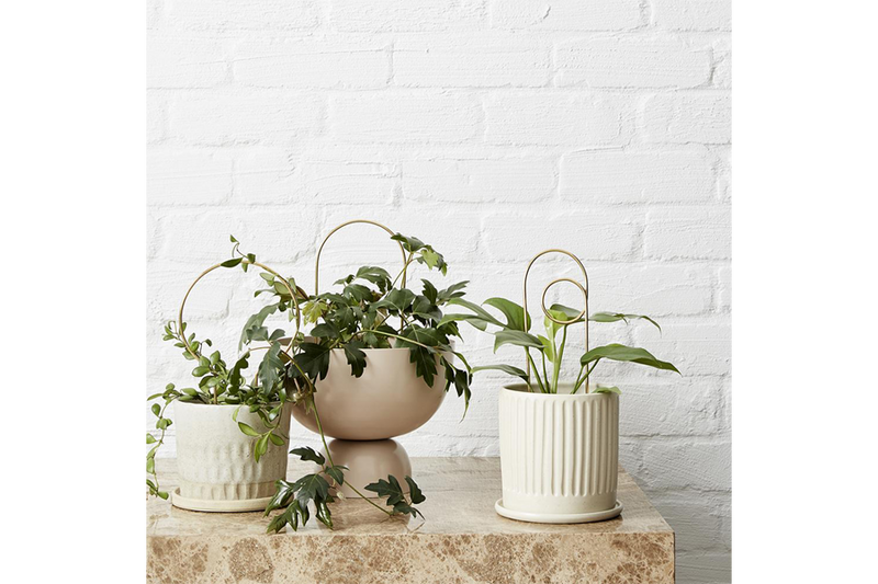 The Importance of Drainage Holes in Pots - The Plant Runner