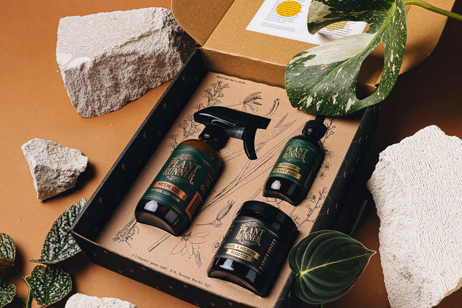 What is frass and how is it good for my plants? - The Plant Runner