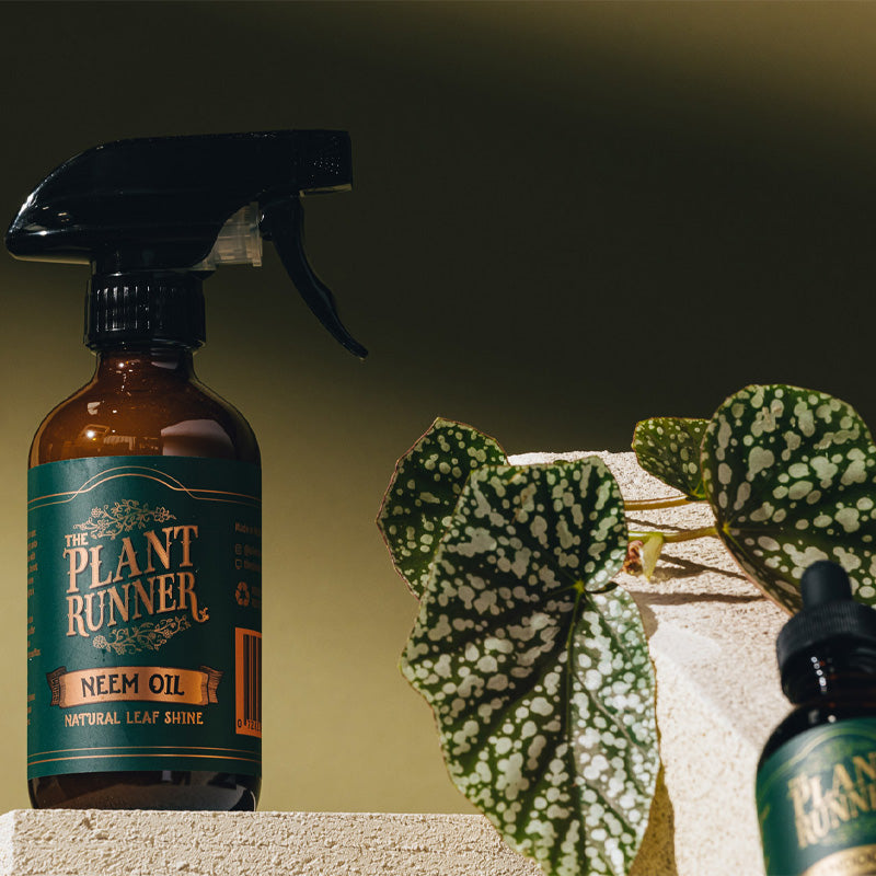 About Us - The Plant Runner