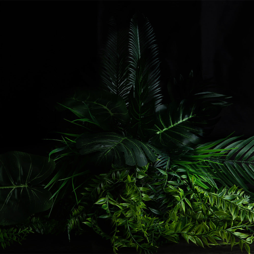 Indoor Plant Food - The Plant Runner